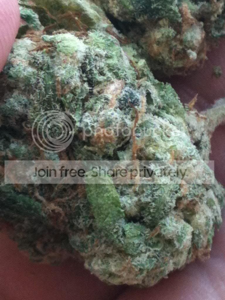 More dank pickups (Blue cheese, G13, Lemon cake, LA Confidential ...