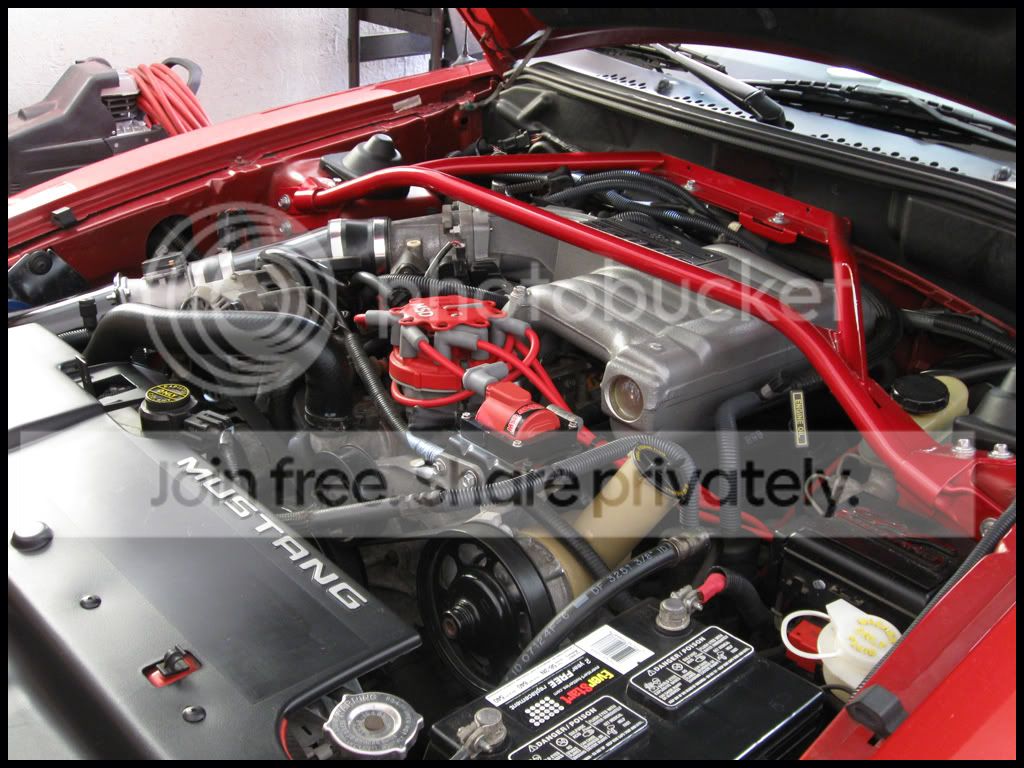 Lets see those sn95 engine bays. | SN95Forums The Only SN95 1994-2004 ...