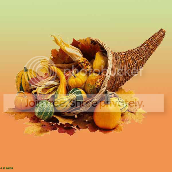 Cornucopia - JungleKey.fr Wiki