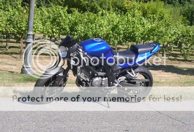 SV650 Colors... | Suzuki SV650 Riders Forum