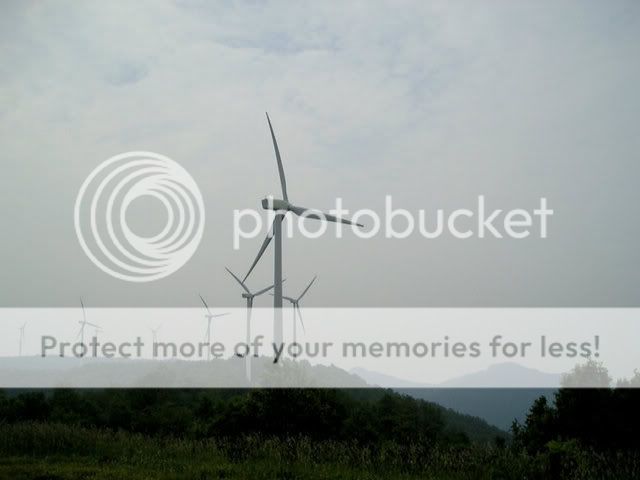 Where does green begin?