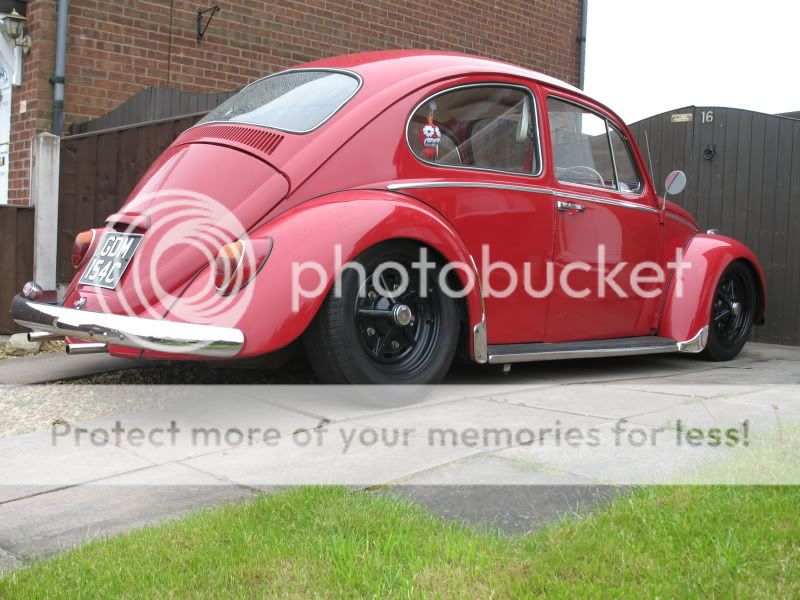 any pics of Ruby red bugs???? | Page 2 | Volkszone Forum